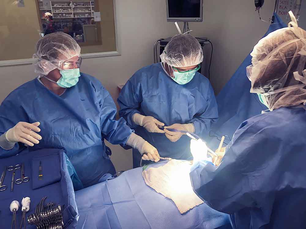 The Role of a Surgical Technologist - Why Consider the Career