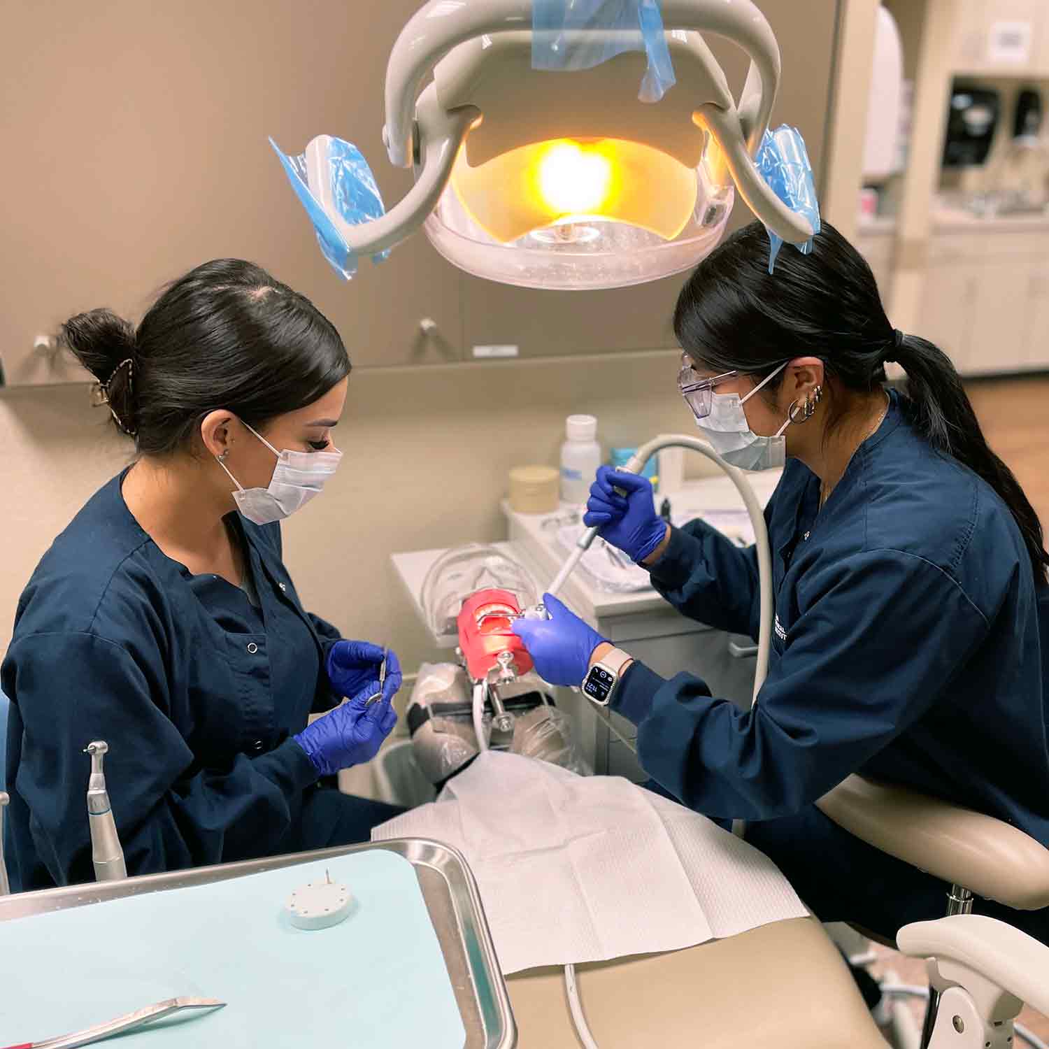Certification vs Degree Programs – What’s the Best Fit for You?